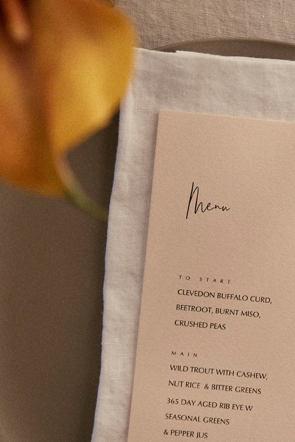 ALCHEMY / Menu 03 – Paper / Paper Co